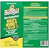 Amazon.com: Bengal Non-Conductive Wasp and Hornet Killer – Long Range ...