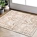 Amazon.com: jinchan Area Rug 2x3 Washable Rug Entryway Rug Vintage ...