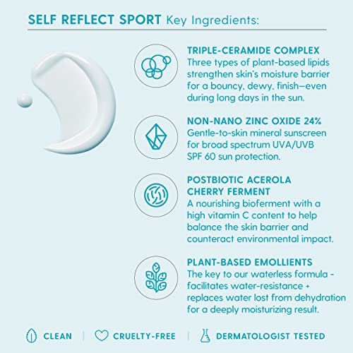 The 30 Best Ceramide Sunscreens of 2025 [Verified] - Cherry Picks