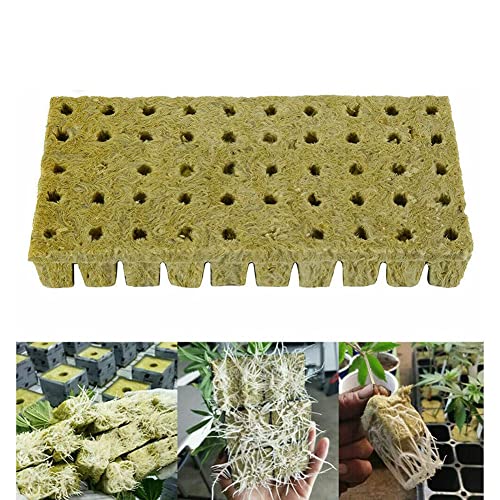 Amazon.co.uk Best Sellers: The most popular items in Gardening Rockwool