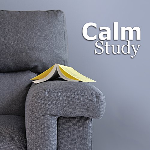Amazon.com: Calm Study : Deep study: Everything Else