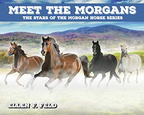 Meet The Morgans: The Stars of the Morgan Horse Series eBook : Feld ...