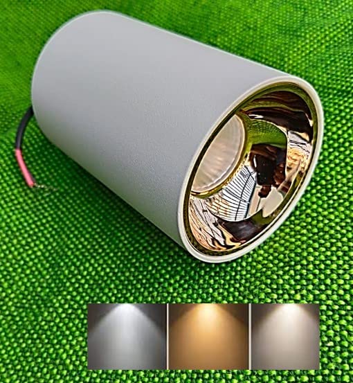 Buy RADIANT LED COB Cylinder Surface Light White Body (Rose Reflector ...