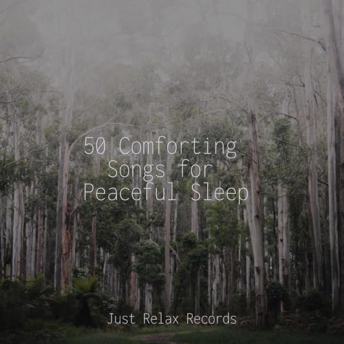 50 Comforting Songs for Peaceful Sleep di Relaxation su Amazon Music ...