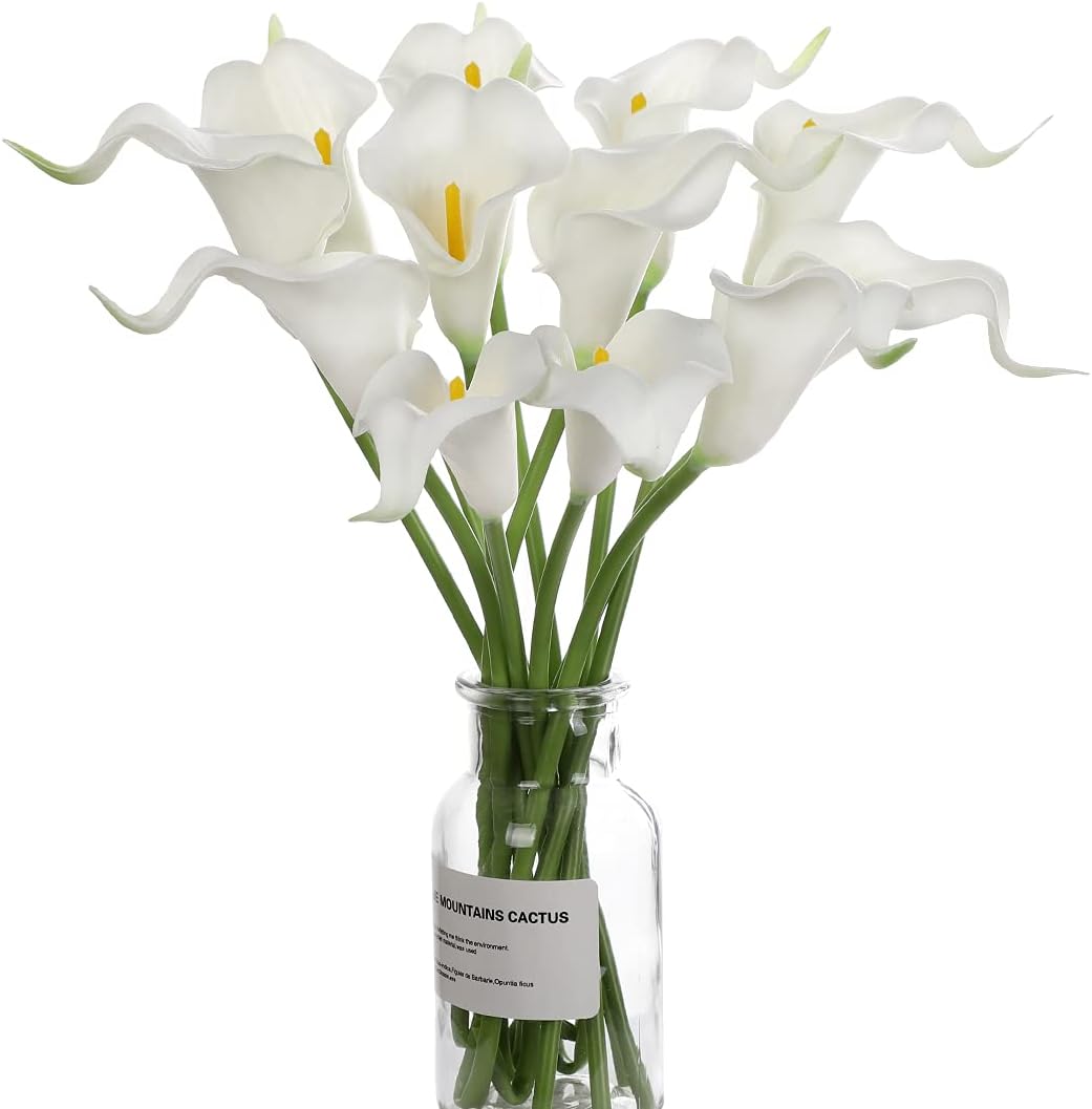 huaao 12pcs Calla Artificiali in Lattice Bianco Vero Tocco Realistic ...