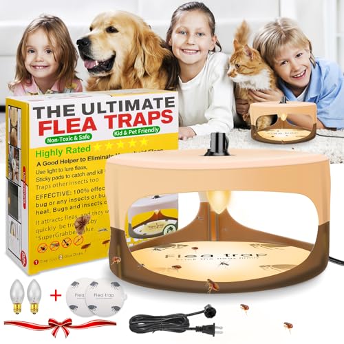 10 At Home Flea Killers You Need to Try Today: The Ultimate Buying ...