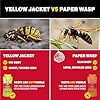 Amazon.com : Catchmaster Yellow Jacket, Hornet, & Wasp Trap Jar 2-Pk ...