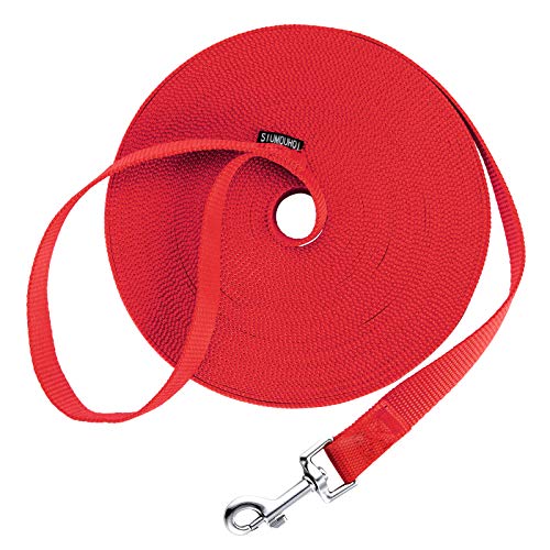 43 Best 20 Foot Dog Leash 2021 - After 131 hours of research and testing.