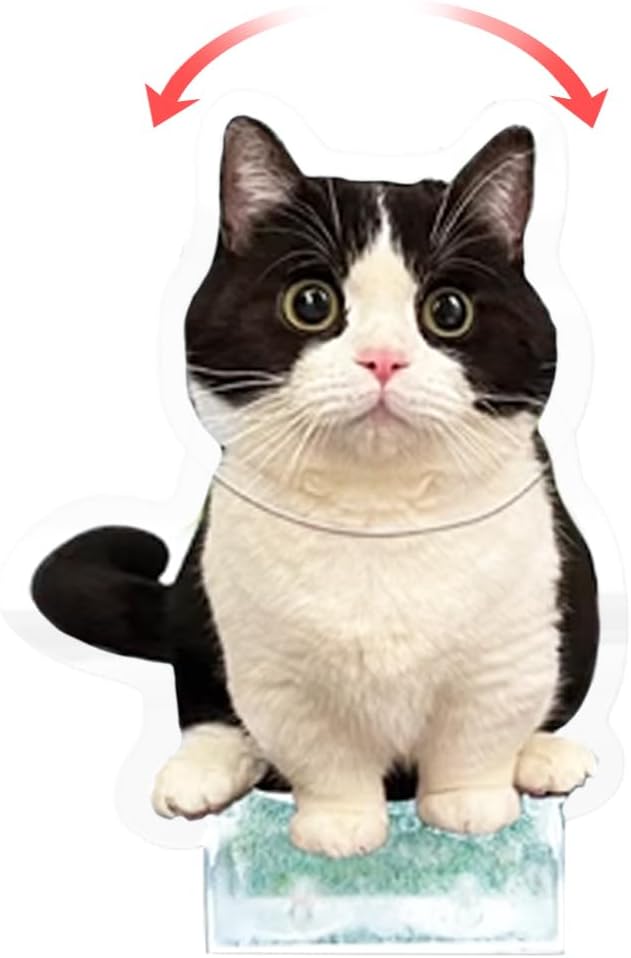 Amazon.com: BETYMAO Pet Bobbing Head Ornaments for Car Dashboard ...