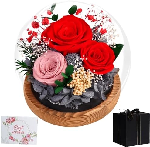Ewige Rose im Glas, Geschenke für Frauen mit Geschenkbox, Rosen Blume ...