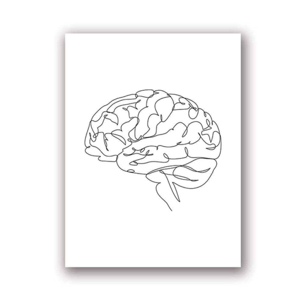 Eenvoudige Tekening Van De Hersenen Anatomie Hersenen