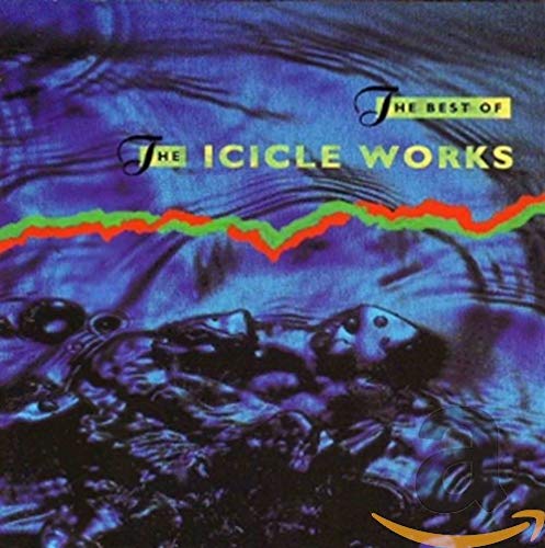 ICICLE WORKS - The Best of the Icicle Works - Amazon.com Music