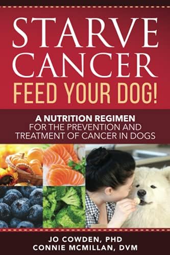 What To Feed Dog With Cancer