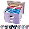 Amazon.com: PRANDOM File Organizer Box - Set of 1 Collapsible ...