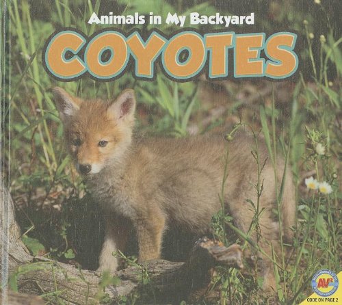 Coyotes (Animals in My Backyard): McGill, Jordan: 9781616909352: Amazon ...