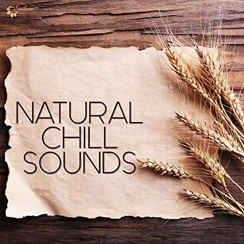 Amazon MusicでVARIOUS ARTISTSのNatural Chill Soundsを再生する
