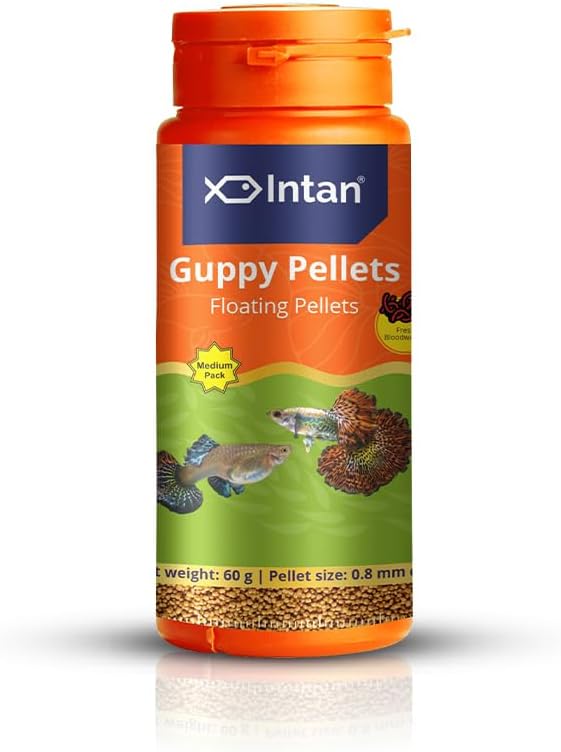 Aquatic Intan Guppy Fish Food | Floating Pellet for Health and Growth ...