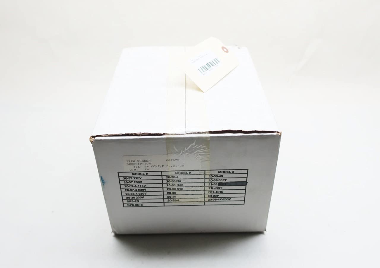 THERMO RAMSEY 21-38 TILT Control Switch: Amazon.com: Industrial ...