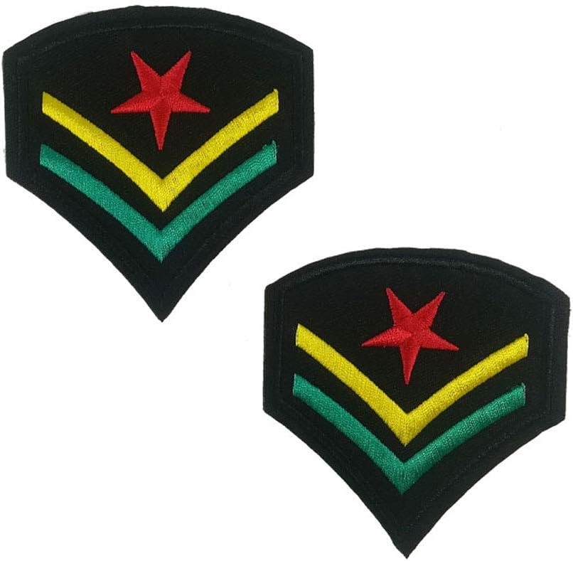 Amazon.com: Juneteenth BLM Rasta Rastafari Embroidered Iron on Patches ...