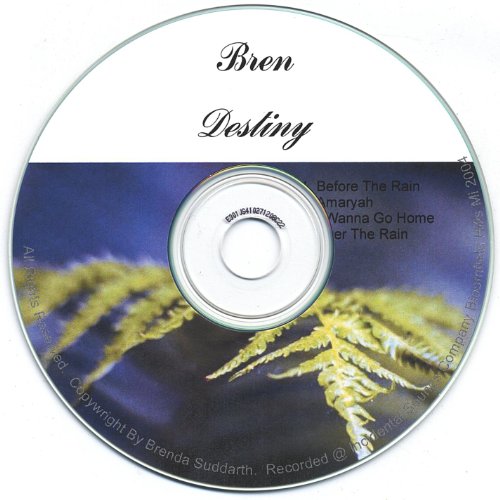 Play Destiny by Brenda Wiley-Suddarth on Amazon Music