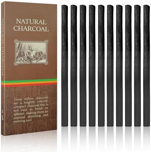 10PCS Charcoal Sticks, Black Willow Charcoal, Drawing Tools Charcoal ...