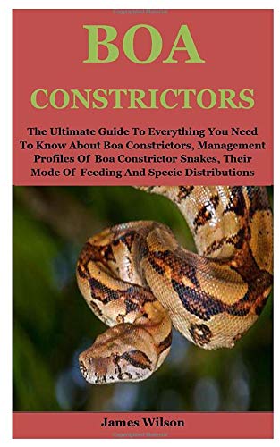 Buy Boa Constrictors: The Ultimate Guide To Everything You Need To Know ...