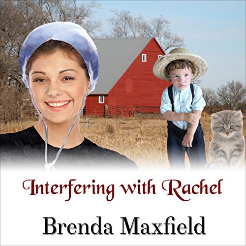 Amazon.com: Interfering with Rachel (Audible Audio Edition): Brenda ...