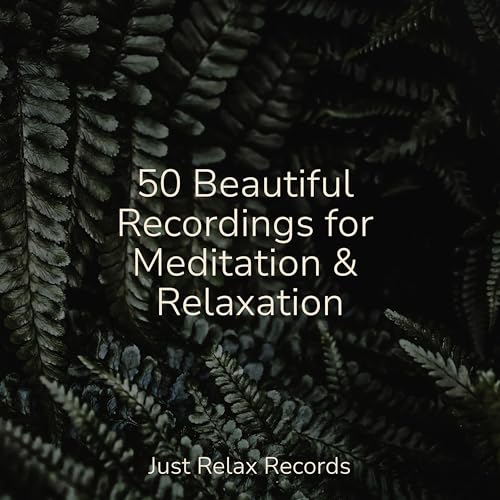 Spiele 50 Beautiful Recordings for Meditation & Relaxation von Lounge ...