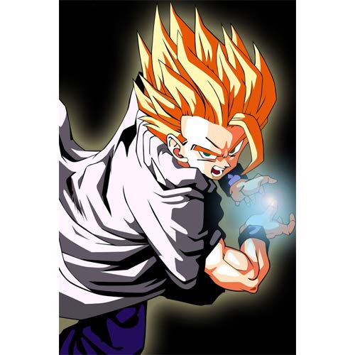 Shandilya Arts Dragon Ball Z 12" x 18" Matte Laminated Poster (Multi ...
