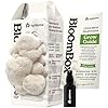 Amazon.com : BloomBox Lion’s Mane Mushroom Grow Kit – Ready to Fruit ...