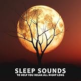 【発売日：2020年02月04日】・製造元:Relaxland Records