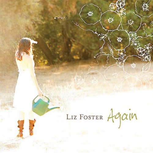 Amazon.com: Again : Liz Foster: Digital Music