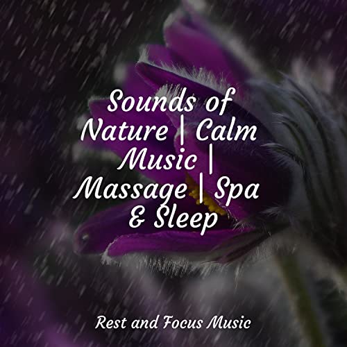 Sounds of Nature | Calm Music | Massage | Spa & Sleep di Zen, Sleep ...