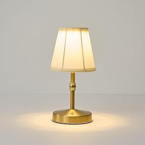 Amazon.com: 5w Led Cordless Mini Lamps,3000 mah Battery Operated Lamp,3 ...
