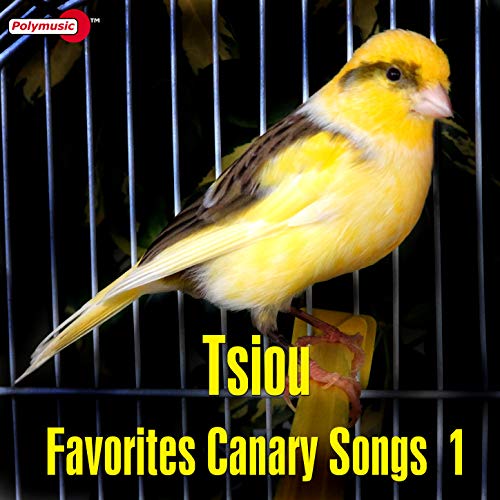 Play Tsiou - Favorites Canary Songs 1 by Tsiou on Amazon Music
