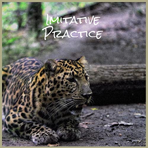 Imitative Practice von VARIOUS ARTISTS auf Amazon Music Unlimited