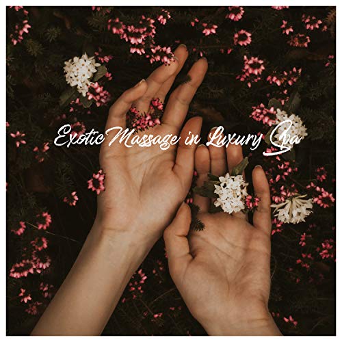 Exotic Massage in Luxury Spa: Zen Space Makes You Feel Better, Sounds ...