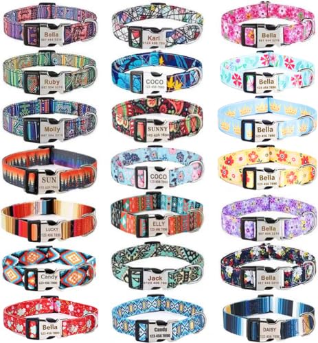 Dog Collars with Name Tags – The 15 best products compared - Wild Explained