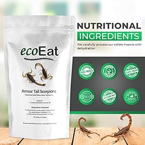 Edible Armor Tail Scorpions by ecoEat - Edible Insects Bugs Snack Gift ...