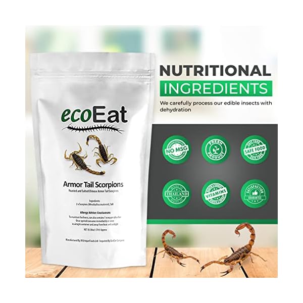 Edible Armor Tail Scorpions by ecoEat - Edible Insects Bugs Snack Gift ...
