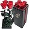 Amazon.com: EVEROSE – 100% Real Roses - 4 Preserved Long Stem Roses in ...