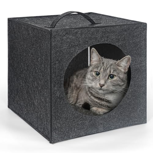 Cat Cube – The 15 best products compared - Wild Explained