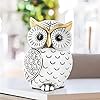 Amazon.com: Owl Statue for Home Decor Accents,Owl Decor for Bookshelf ...