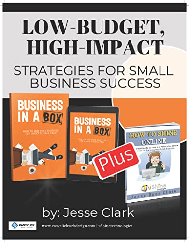 LOW-BUDGET, HIGH-IMPACT: STRATEGIES FOR SMALL BUSINESS SUCCESS (Low ...