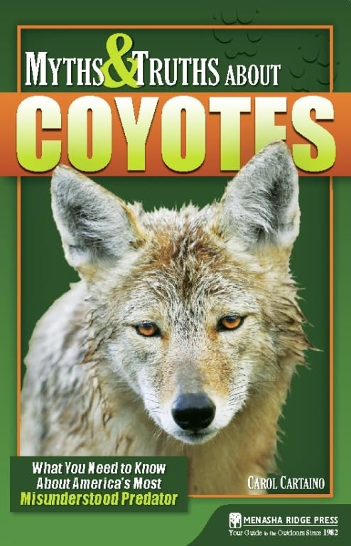 Myths & Truths About Coyotes: What You Need to Know About America's ...