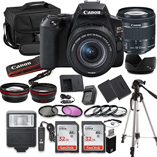 Top 10 Canon Eos Dslr Camera of 2022 - Katynel