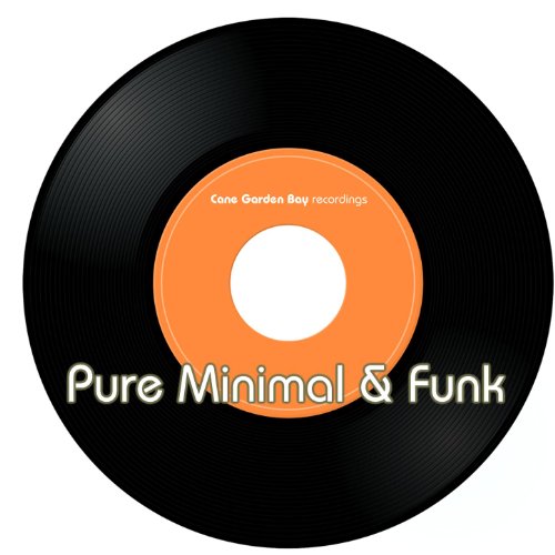 Play Pure Minimal & Funk Vol. 1 by VARIOUS ARTISTS on Amazon Music