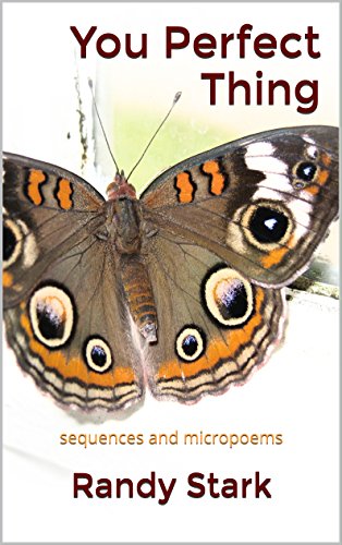 Amazon.com: You Perfect Thing: sequences and micropoems eBook : Stark ...