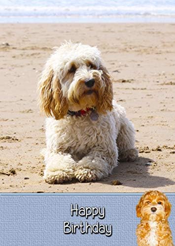 Cockapoo Dog Birthday Card : Amazon.co.uk: Stationery & Office Supplies