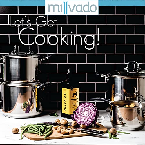 Snapklik.com : Stock Pot, Large Stainless Steel 11 Quart StockPot ...